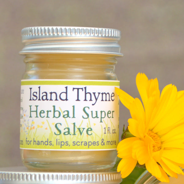 Herbal Super Salve – Island Thyme